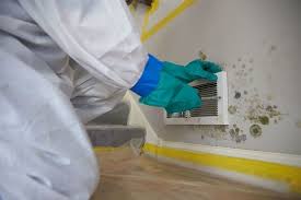 Intro to Mold and Mildew Awareness - SafetyNow