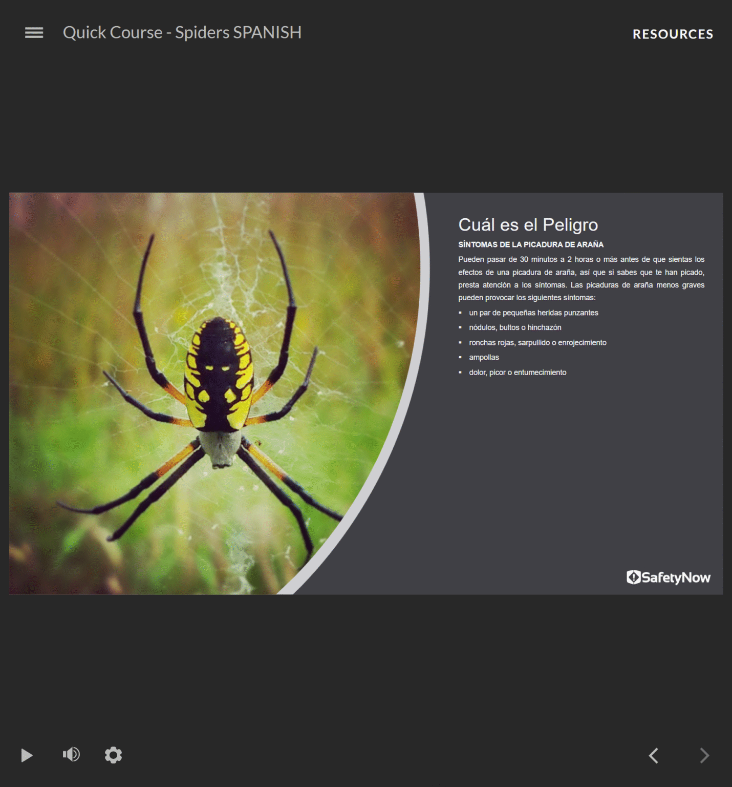 Spiders – Quick Course (Spanish) - SafetyNow